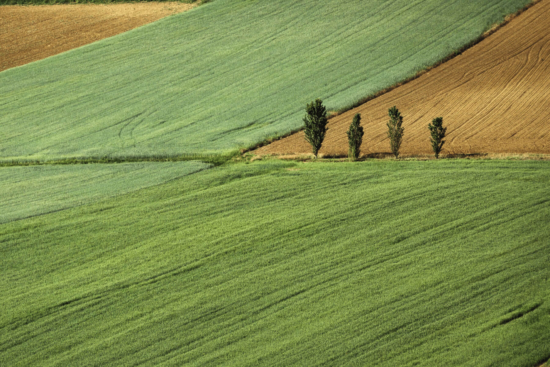 Maps - Elgin Development Group